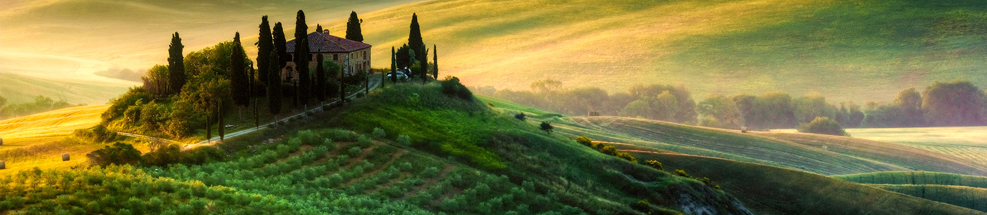 Products - Bertolini