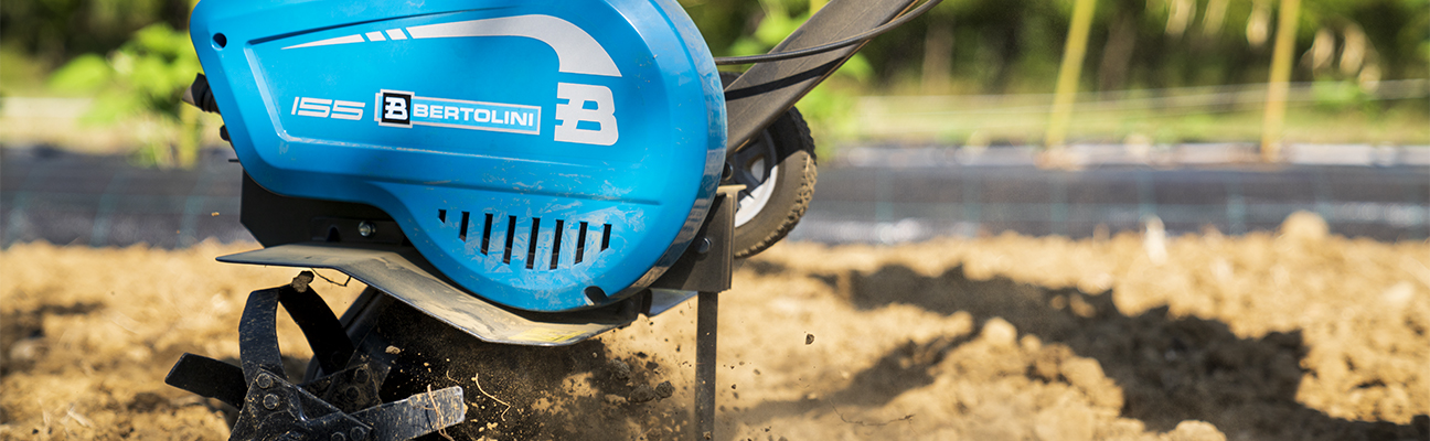 Green ideas - Bertolini