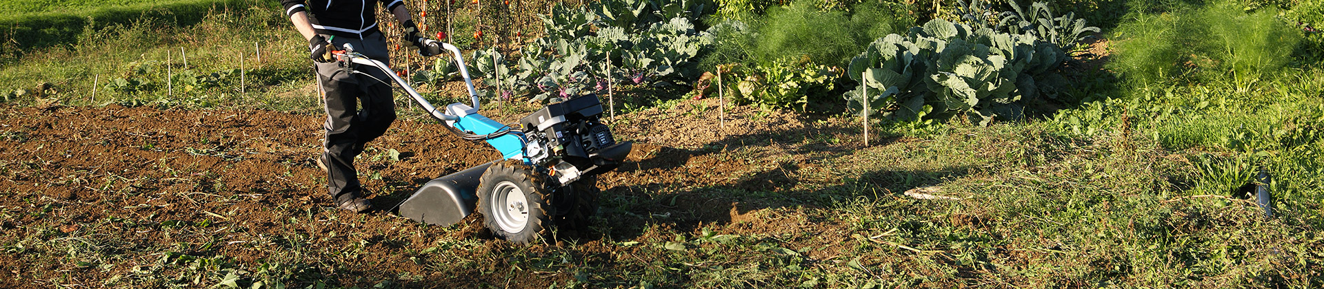 Two wheel tractors for priivate use- Bertolini