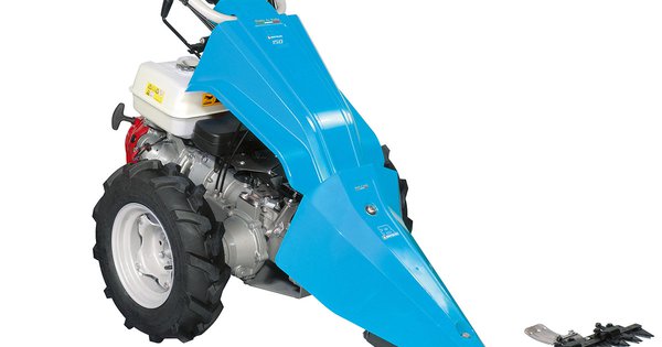 150 MS - Bertolini