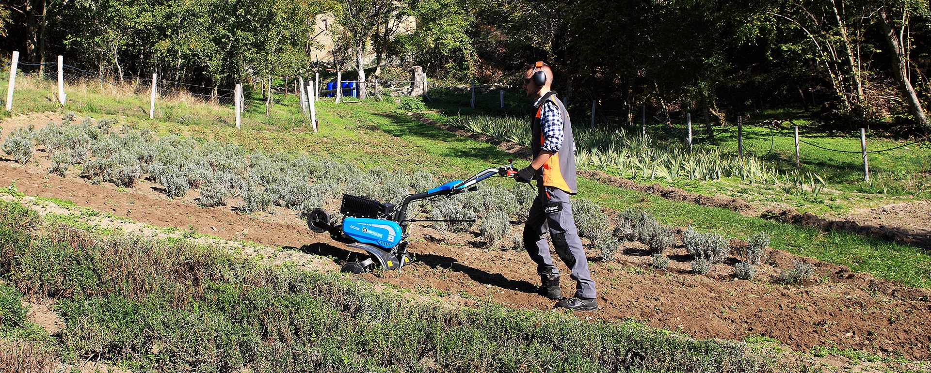 Bertolini: Products for the care of Green Areas - Bertolini