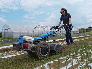 Bertolini: Products for the care of Green Areas - Bertolini